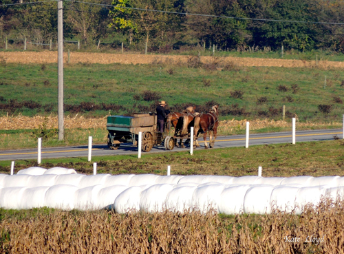 Amish at Work | Kate Lloyd, Author